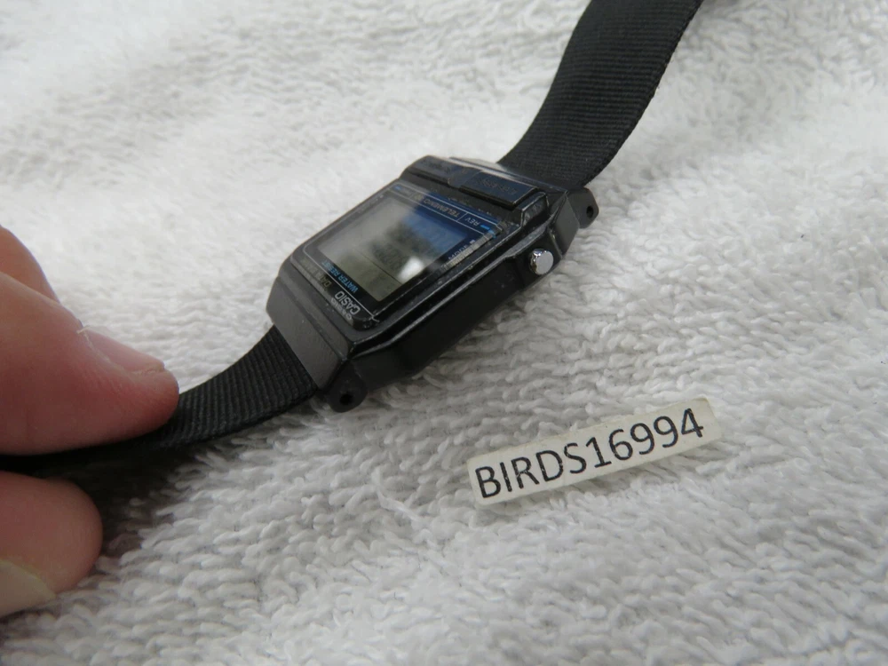 RARE Vintage Casio DB-31 Digital Data Bank Telememo 30 Watch Module 871 ...