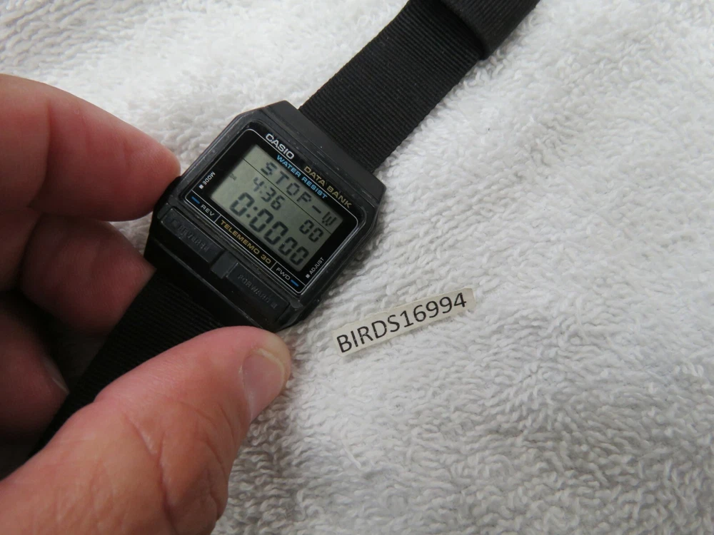 RARE Vintage Casio DB-31 Digital Data Bank Telememo 30 Watch Module 871 ...