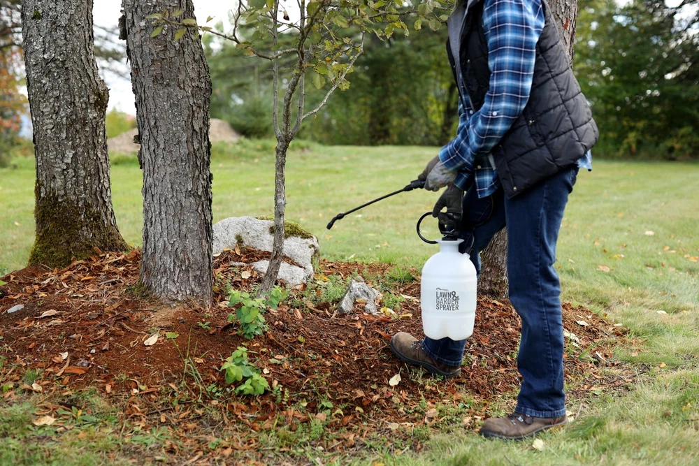 24101 1 Gallon Lawn and Garden Tank Sprayer, Translucent