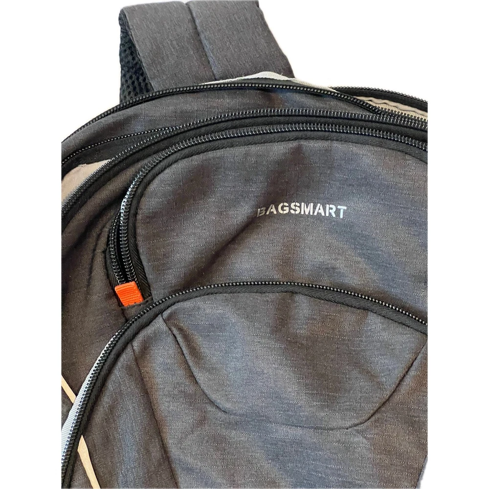 Bagsmart 4 Section Travel Padded Computer Backpack