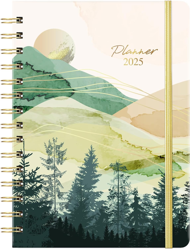 2025 Planner - 2025 Calendar/Planner Weekly and Monthly from JAN 2025 ...