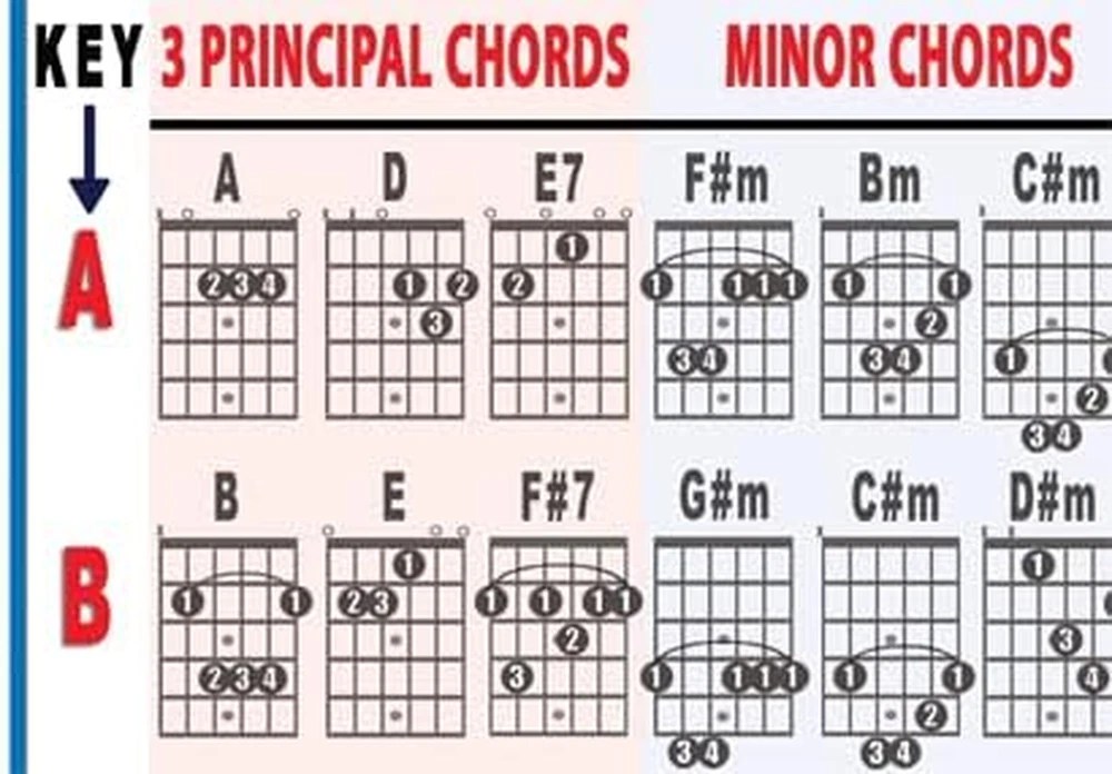 Mini Guitar Chord Chart Poster - Laminated Guitar Progressions Chord ...