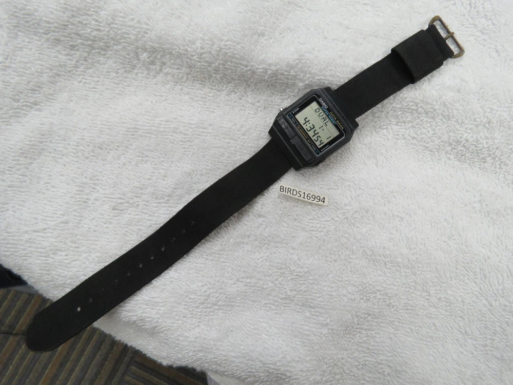 RARE Vintage Casio DB-31 Digital Data Bank Telememo 30 Watch Module 871 ...